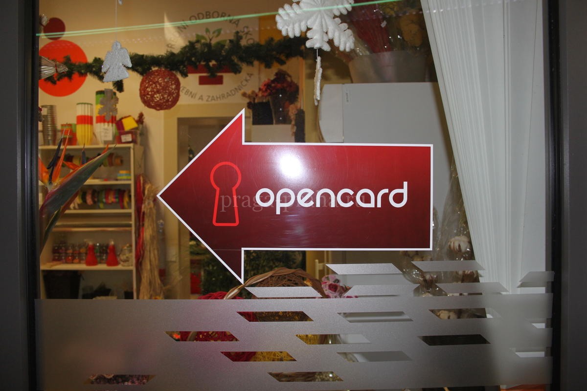 Проездной Opencard