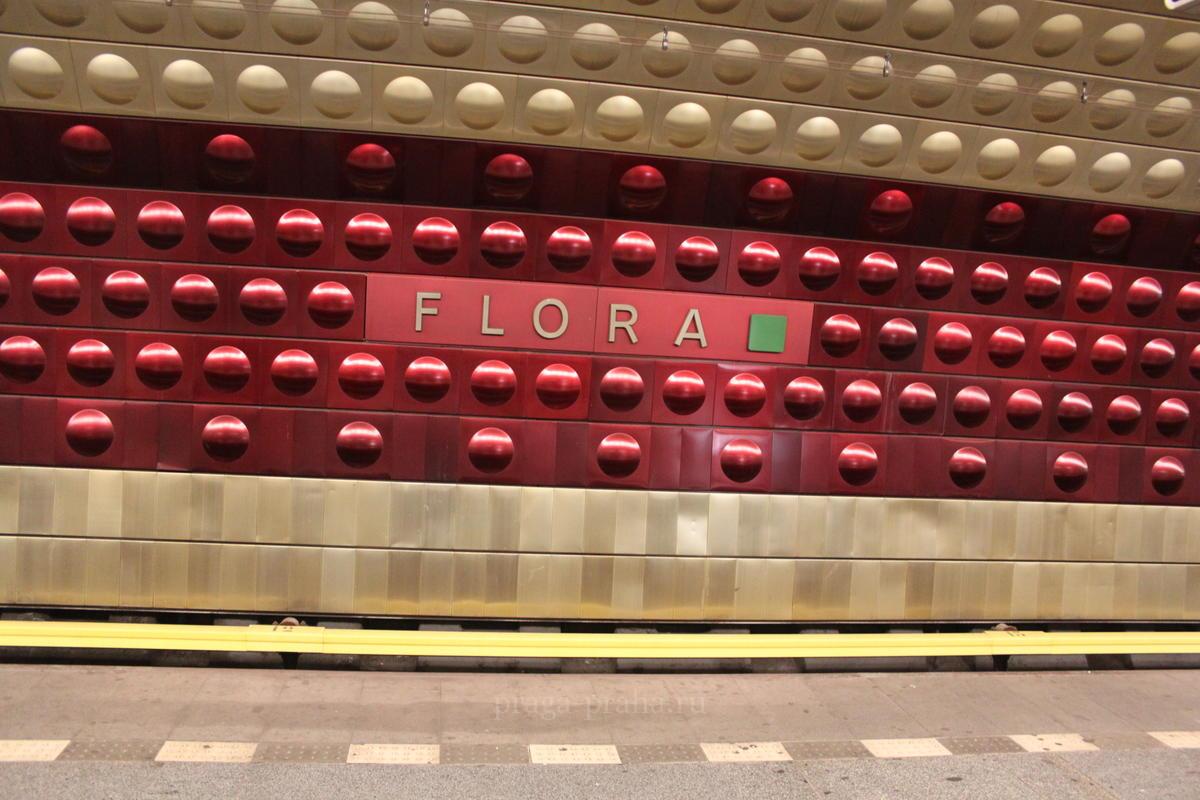 Flora